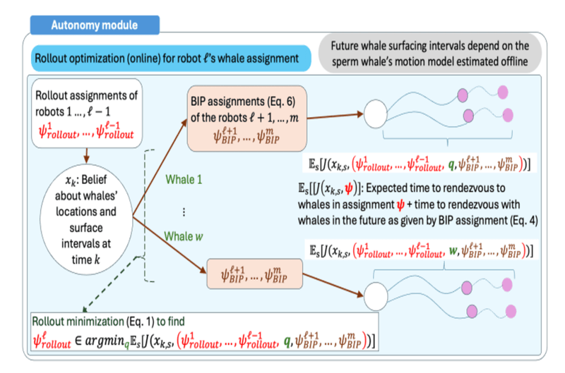 Project CETI •-- News, Research & Insights